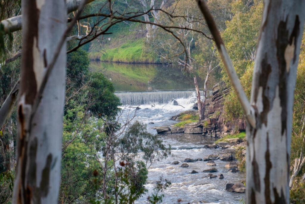 Wurundjeri History of Yarra | Yarra City Council
