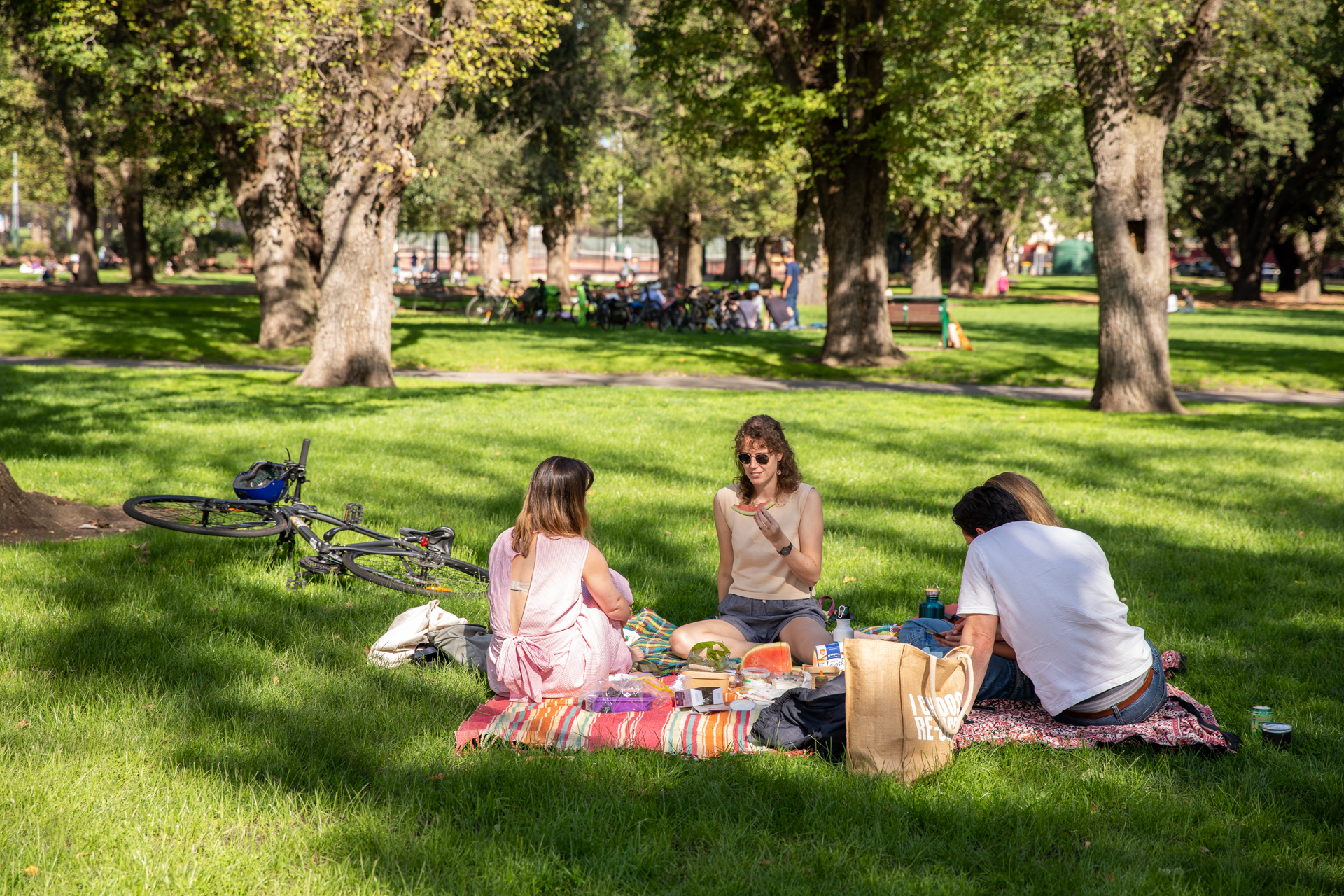 Keeping our parks safe and clean | Yarra City Council