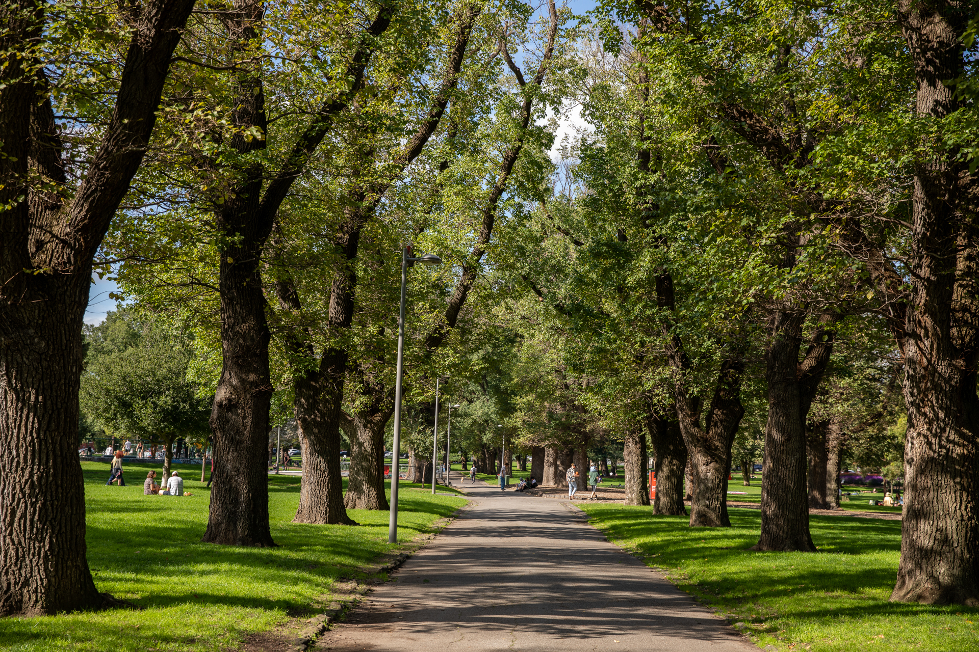 Edinburgh Gardens | Place, Yarra City Council
