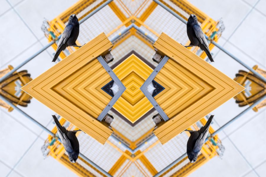 Waa and Wattle by Kent Morris | Place, Yarra City Council