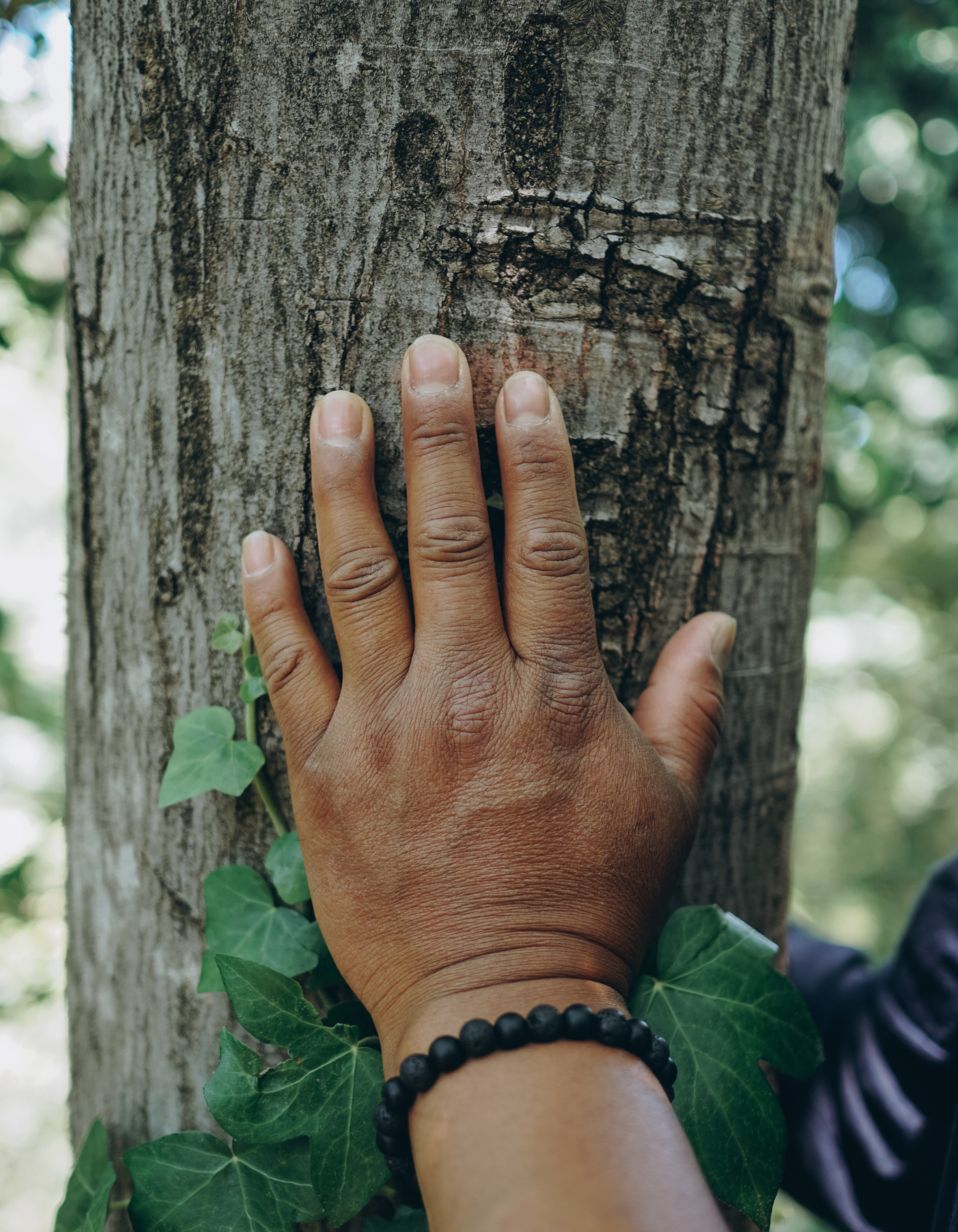 Harnessing Climate Emotions | Event, Yarra City Council