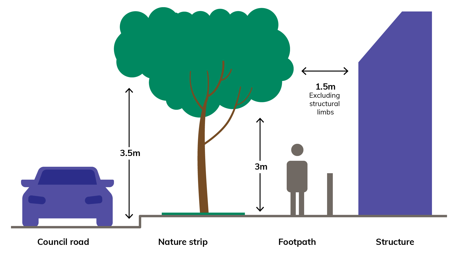 How we manage trees | Yarra City Council
