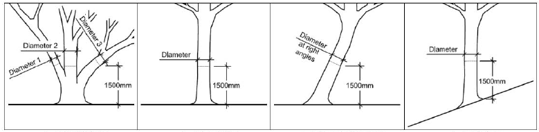 Significant trees | Yarra City Council