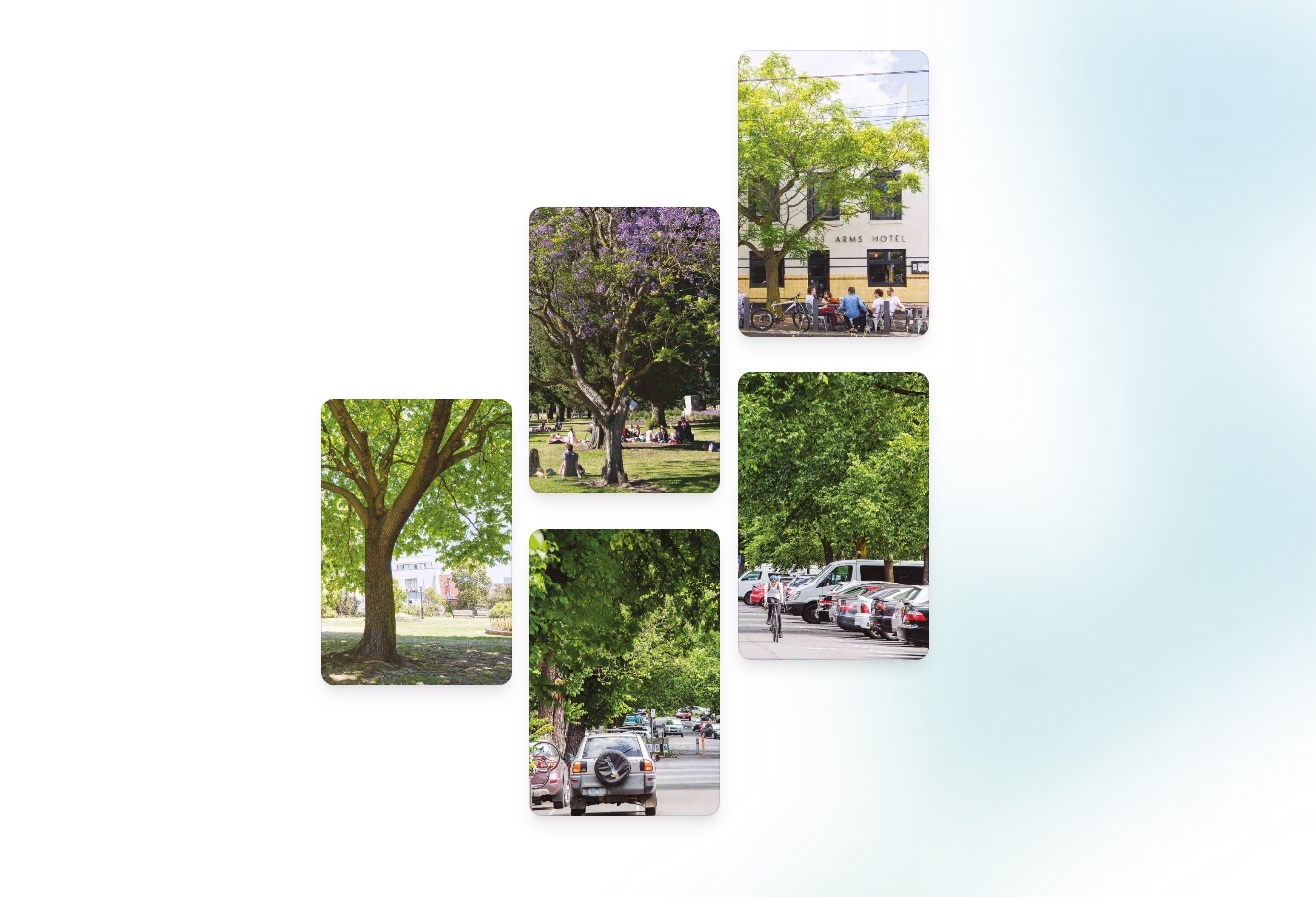 Plants and trees | Yarra City Council