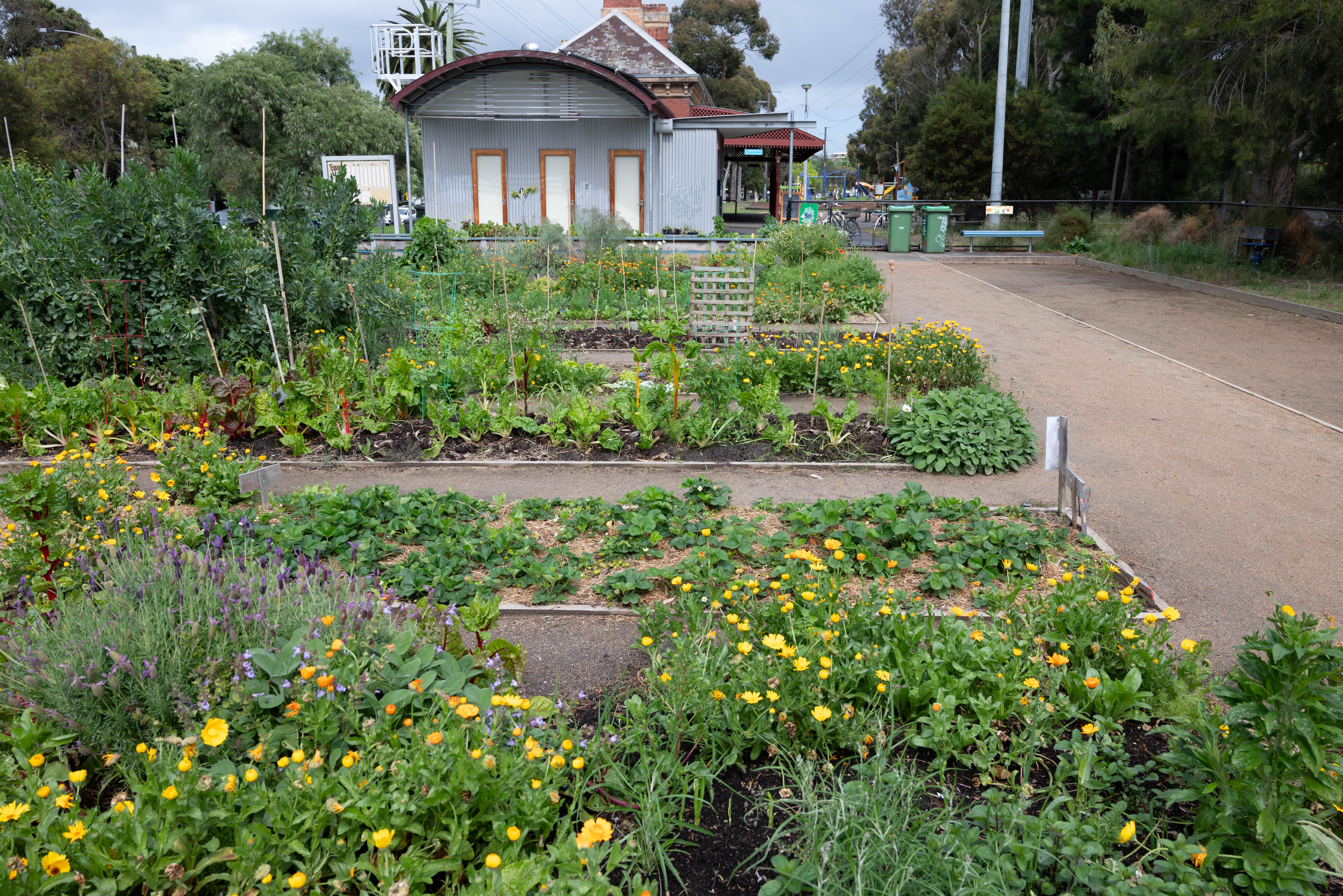 Meet your garden life | Event, Yarra City Council