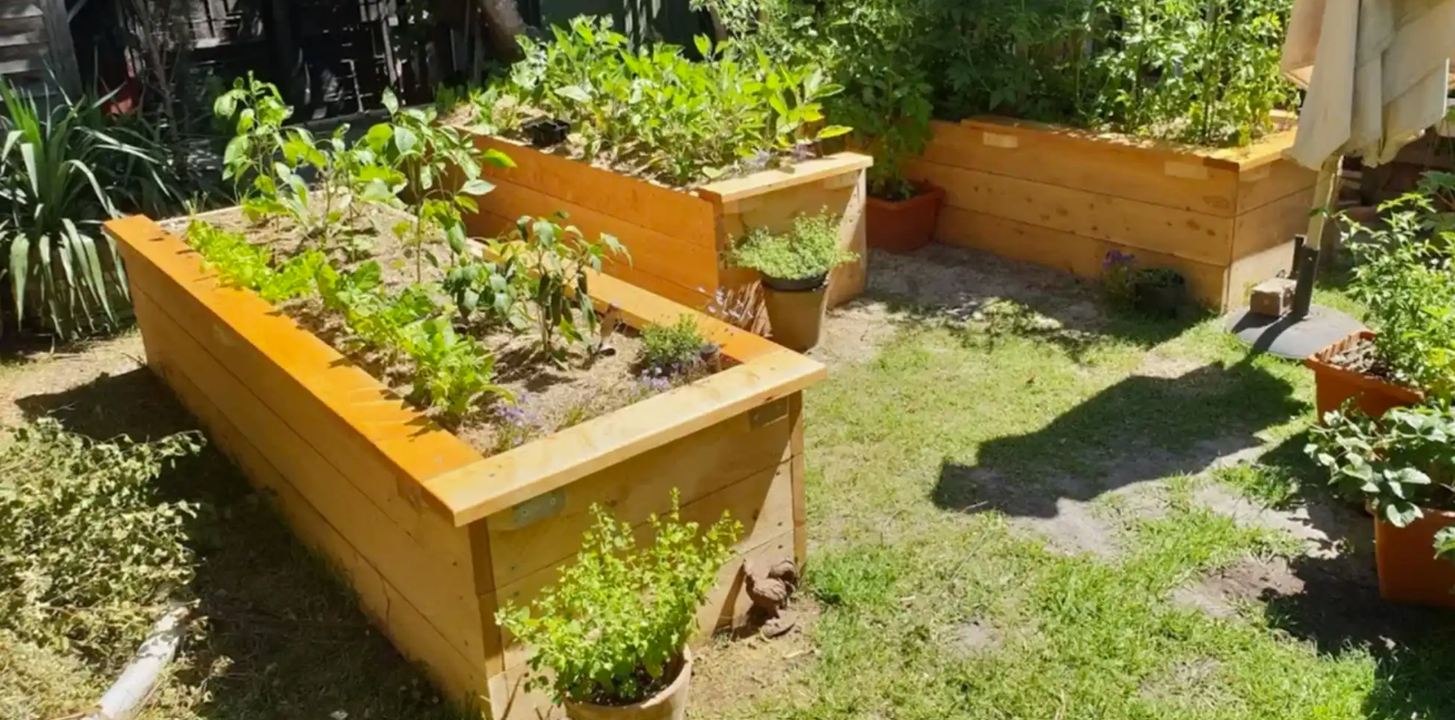 Create Your Own Wicking Beds | Event, Yarra City Council