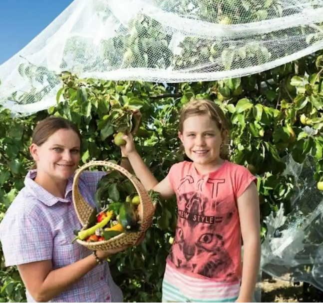 Fruit Tree Netting and Wildlife: What Gardeners Should Know | Event ...